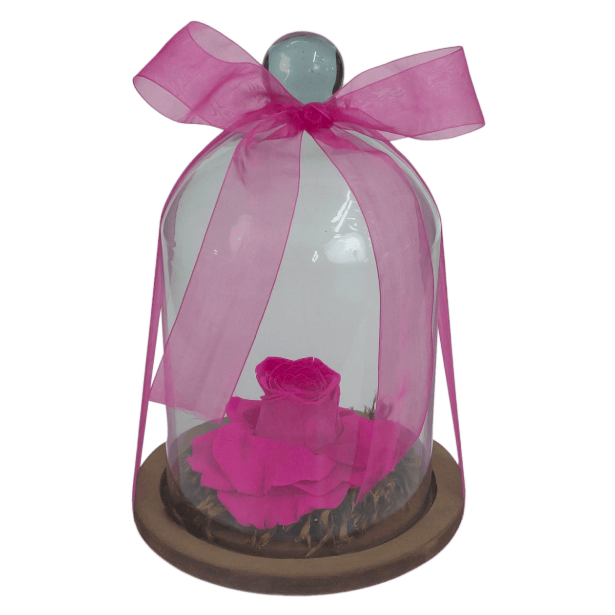 Rosa Eterna Pink Odair Romeiro Boutique Das Flores
